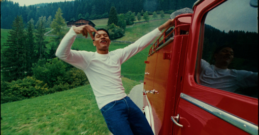 AntsLive 'Number One Candidate' by Tom Emmerson | Videos | Promonews