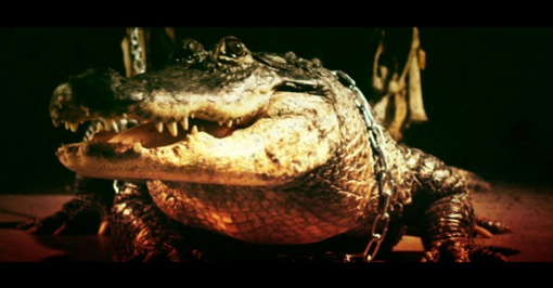 Bring Me The Horizon 'Alligator Blood' by Stuart Birchall | Videos ...