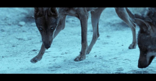 Example 'Say Nothing' by Adam Powell | Videos | Promonews