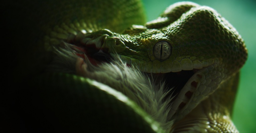 A Place To Bury Strangers 'Supermaster' by Matt Portman | Videos ...