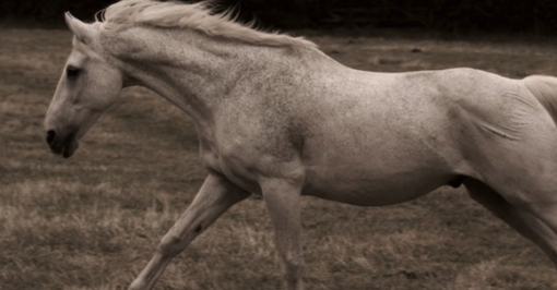 While She Sleeps 'Our Courage Our Cancer' by Stuart Birchall | Videos ...