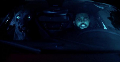 The Weeknd ft. Daft Punk 'Starboy' by Grant Singer | Videos | Promonews